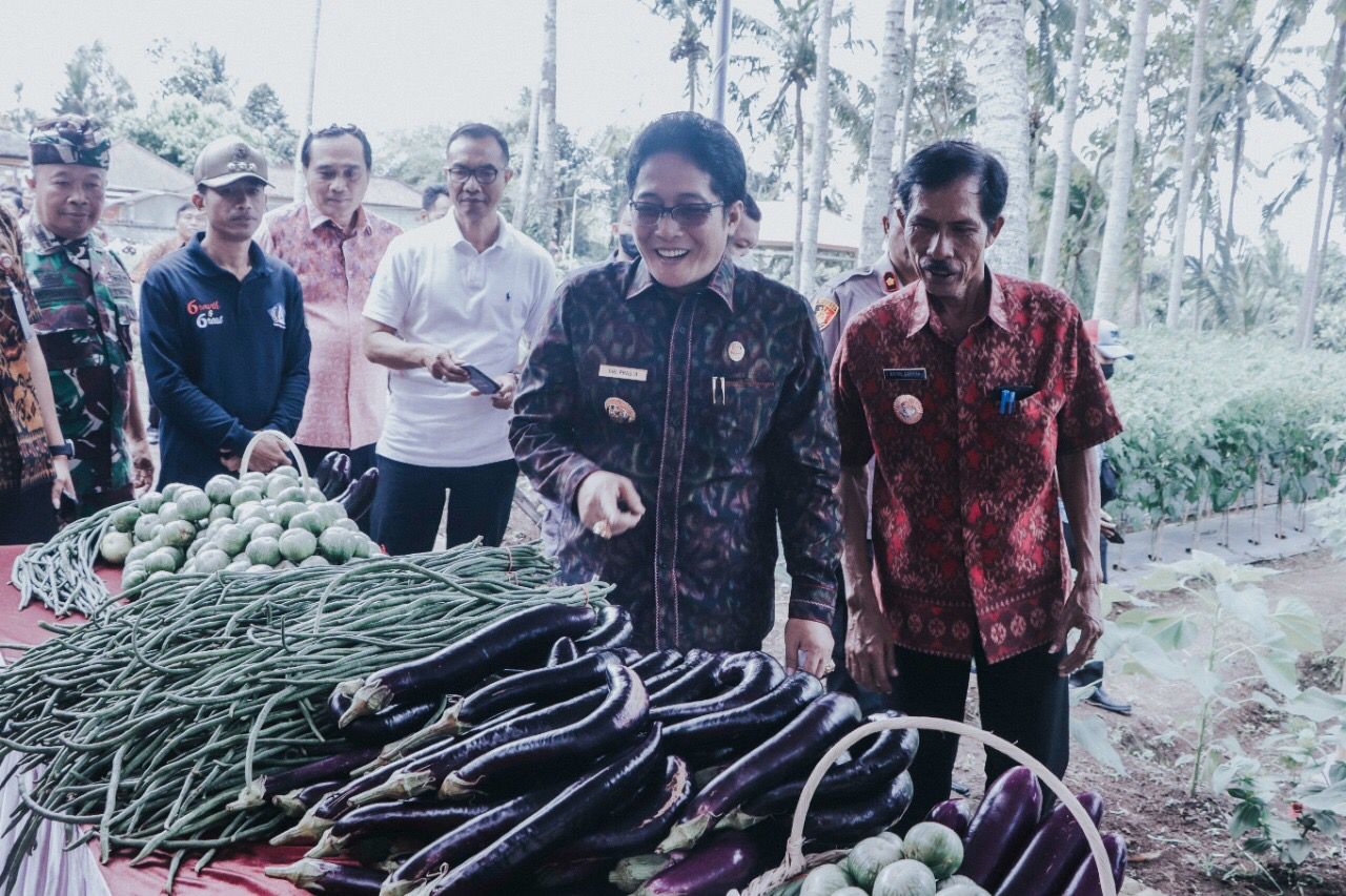 Giri Prasta Panen Raya di Desa Sibanggede - Bali Politika